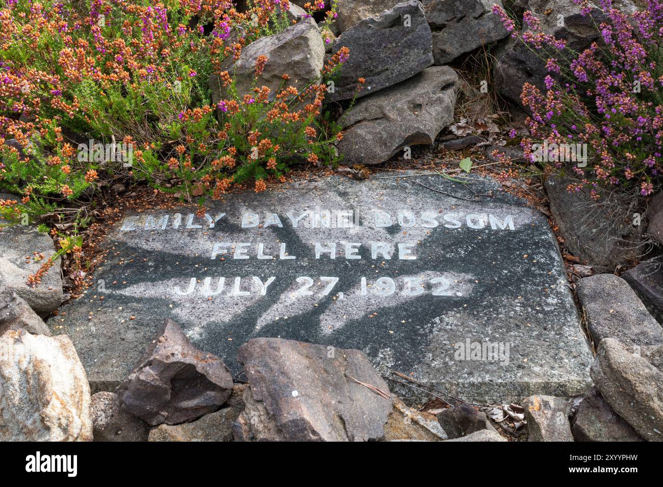 Emily bayne bossom -Fotos und -Bildmaterial in hoher Auflösung – Alamy