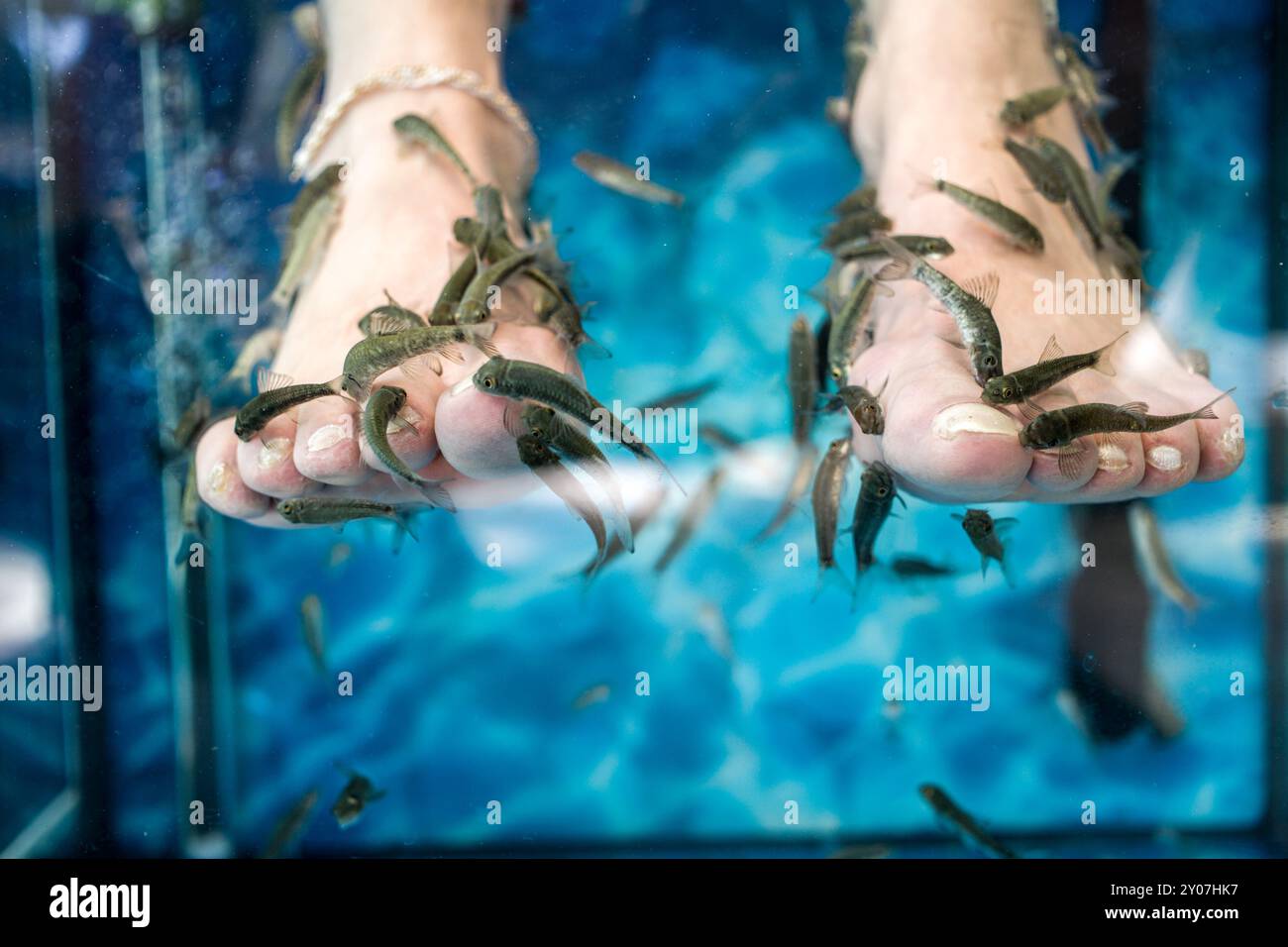 Doctor fishes -Fotos und -Bildmaterial in hoher Auflösung – Alamy