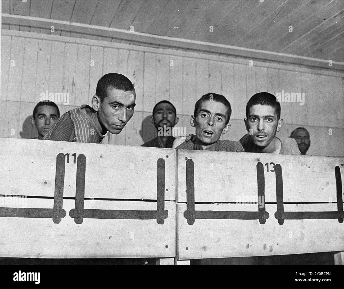 Eine Gruppe unterernährter jüdischer Überlebender in der Krankenstation ...