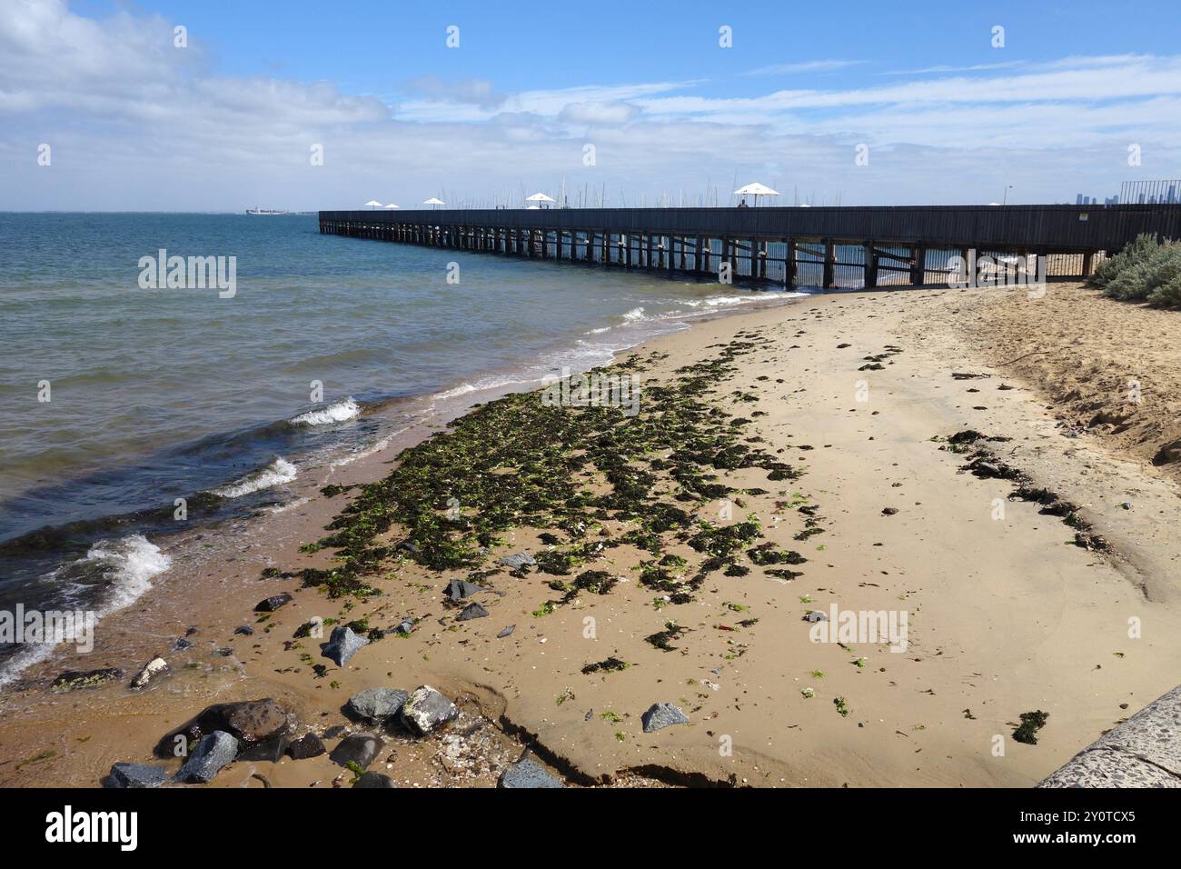 Dendy beach -Fotos und -Bildmaterial in hoher Auflösung – Alamy