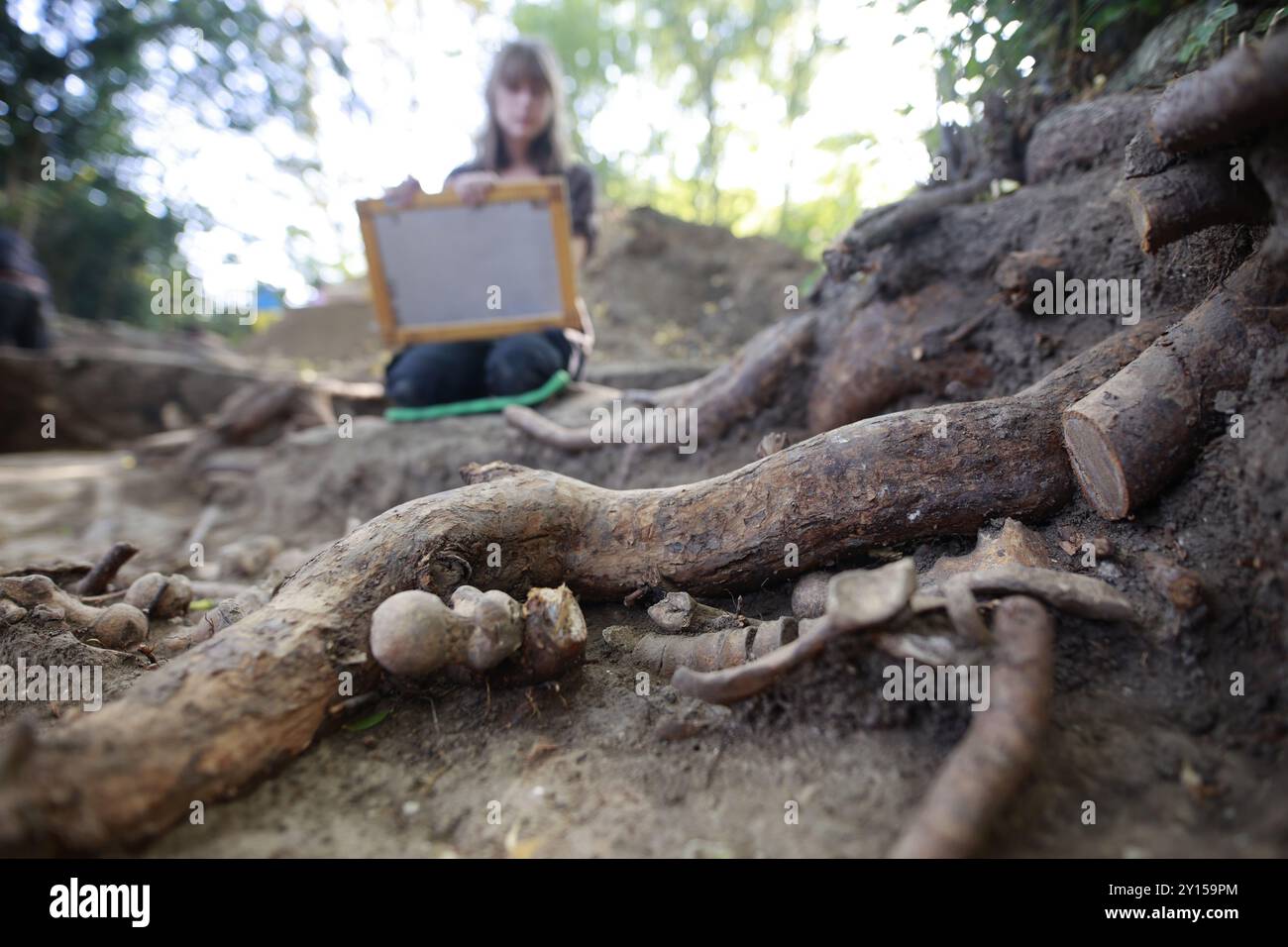 05. September 2024, Sachsen-Anhalt, Quedlinburg: Amanda Petke ...