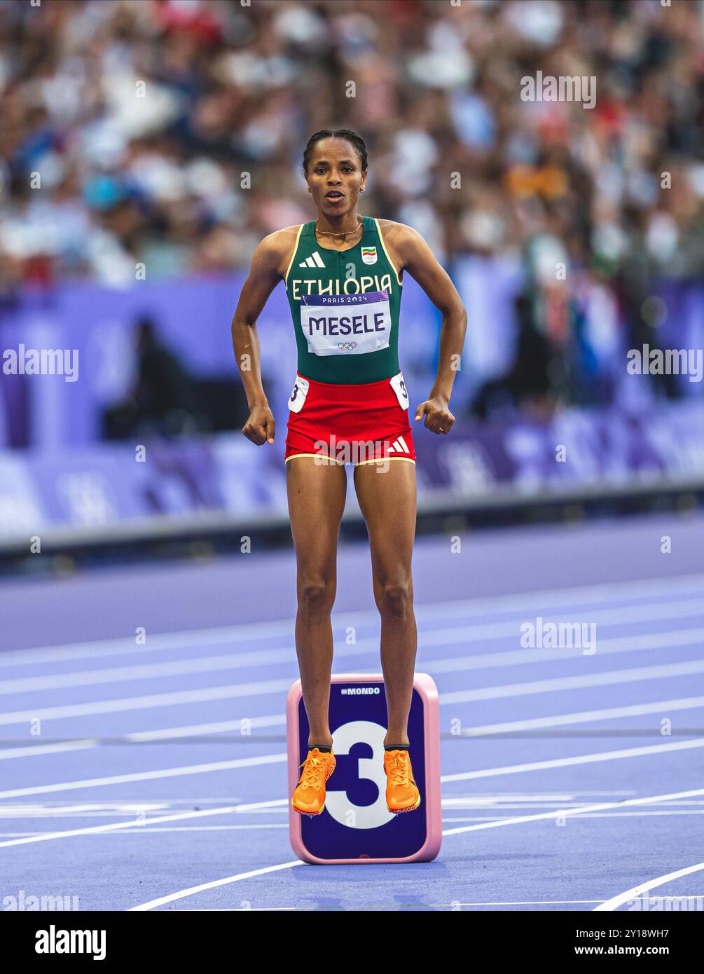 Worknesh Mesele nahm an den 800-Meter-Strecken der Olympischen Spiele ...