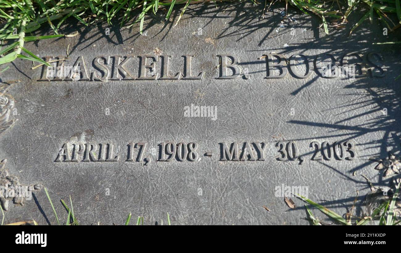 Los Angeles, Kalifornien, USA 6. September 2024 Kameramann Haskell ...