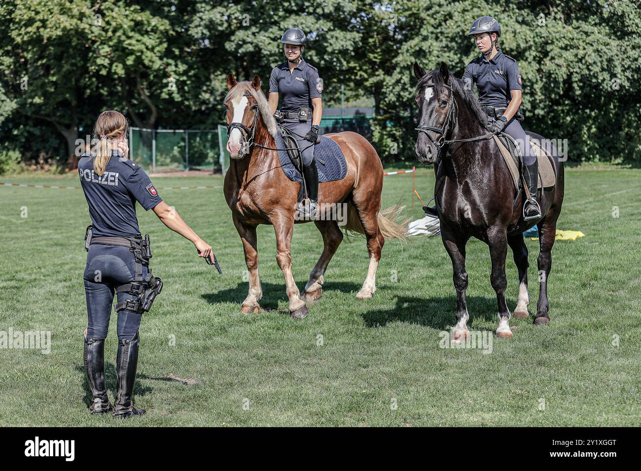 Rekrutierungstag der Polizeidirektion Hannover Reiterstaffel der ...