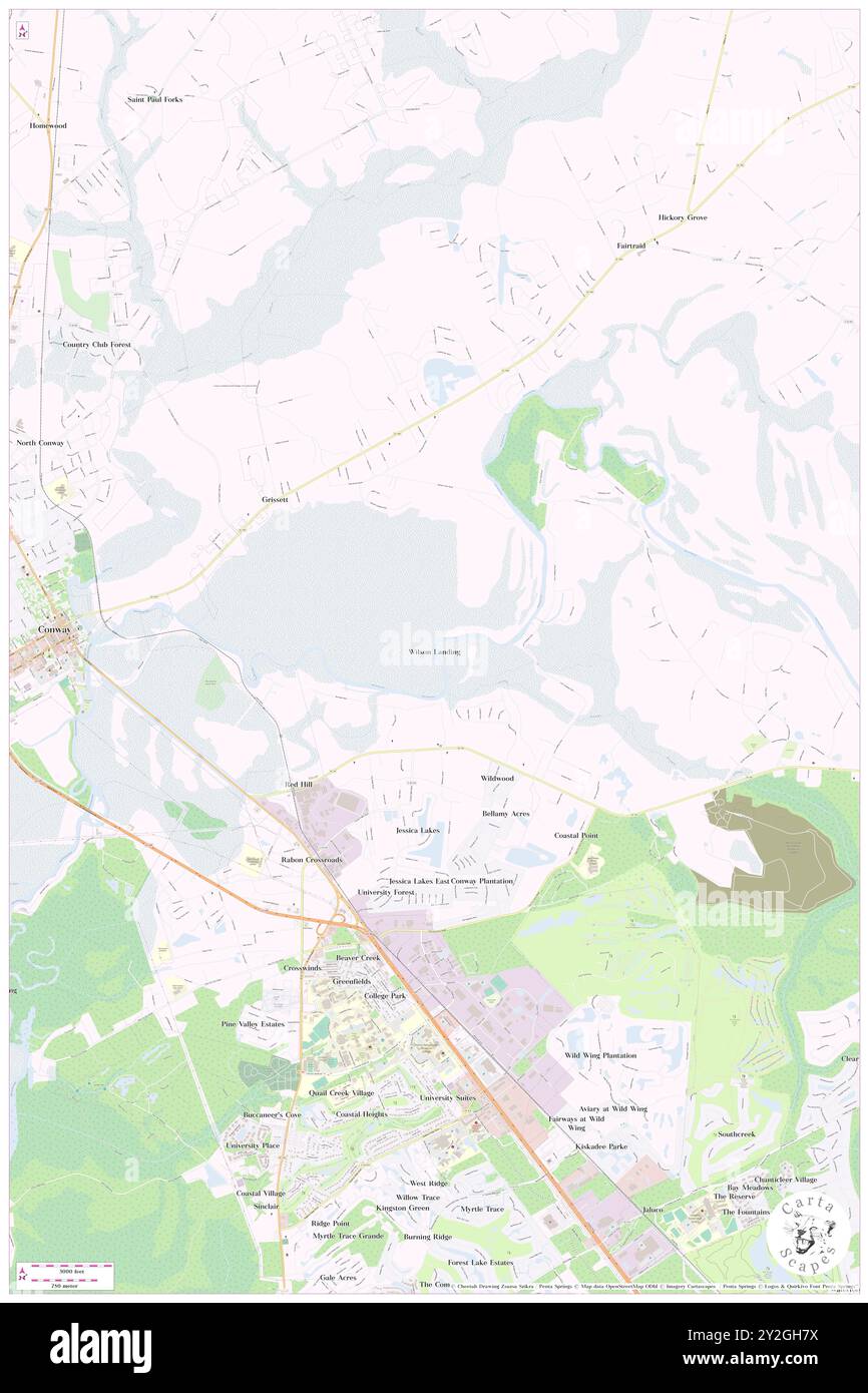 Wilson Landing, Horry County, USA, Vereinigte Staaten, South Carolina ...