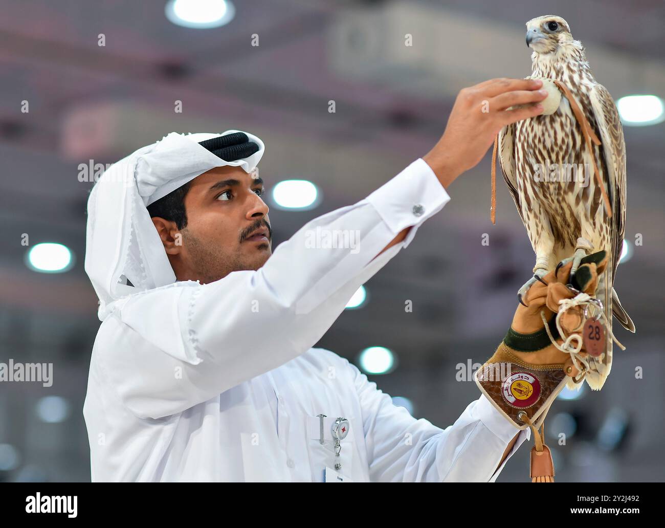 Doha, Katar. September 2024. Ein Aussteller zeigt einen Falken während ...