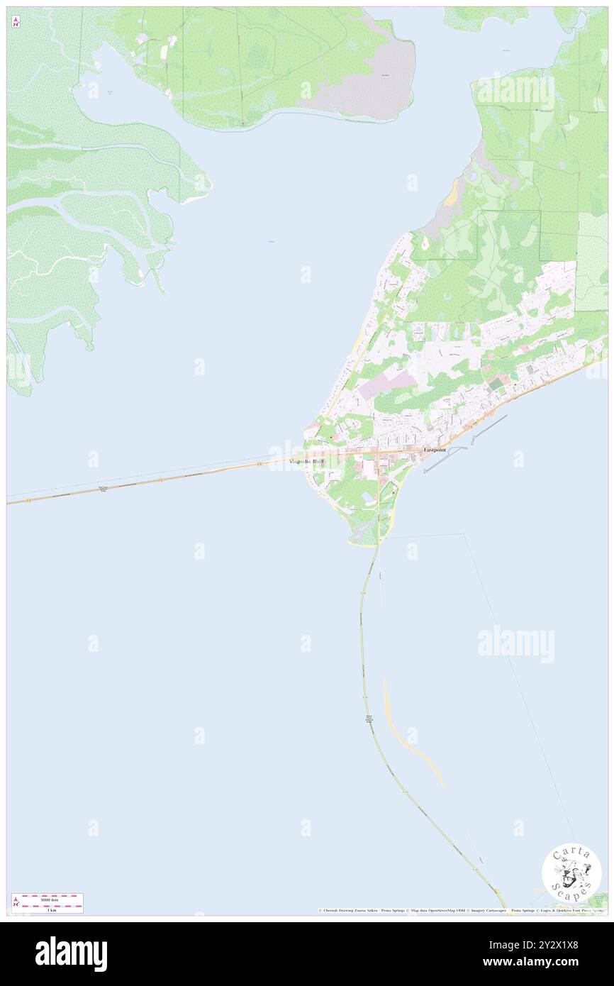 Magnolia Bluffs, Franklin County, USA, USA, Florida, n 29 44' 5''', S ...