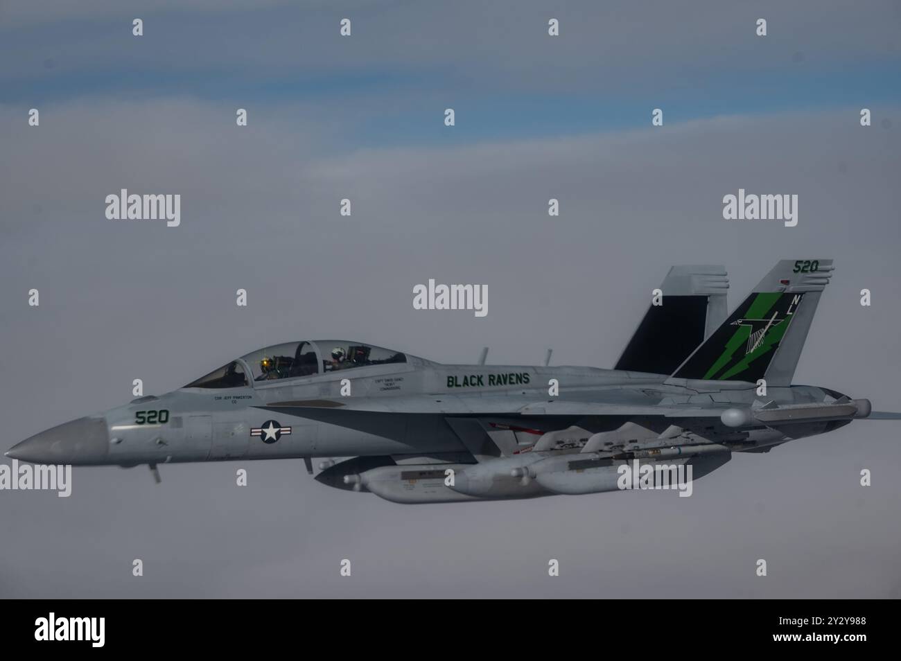 Die US Navy EA-18G Growler von der Electronic Attack Squadron 135 von ...