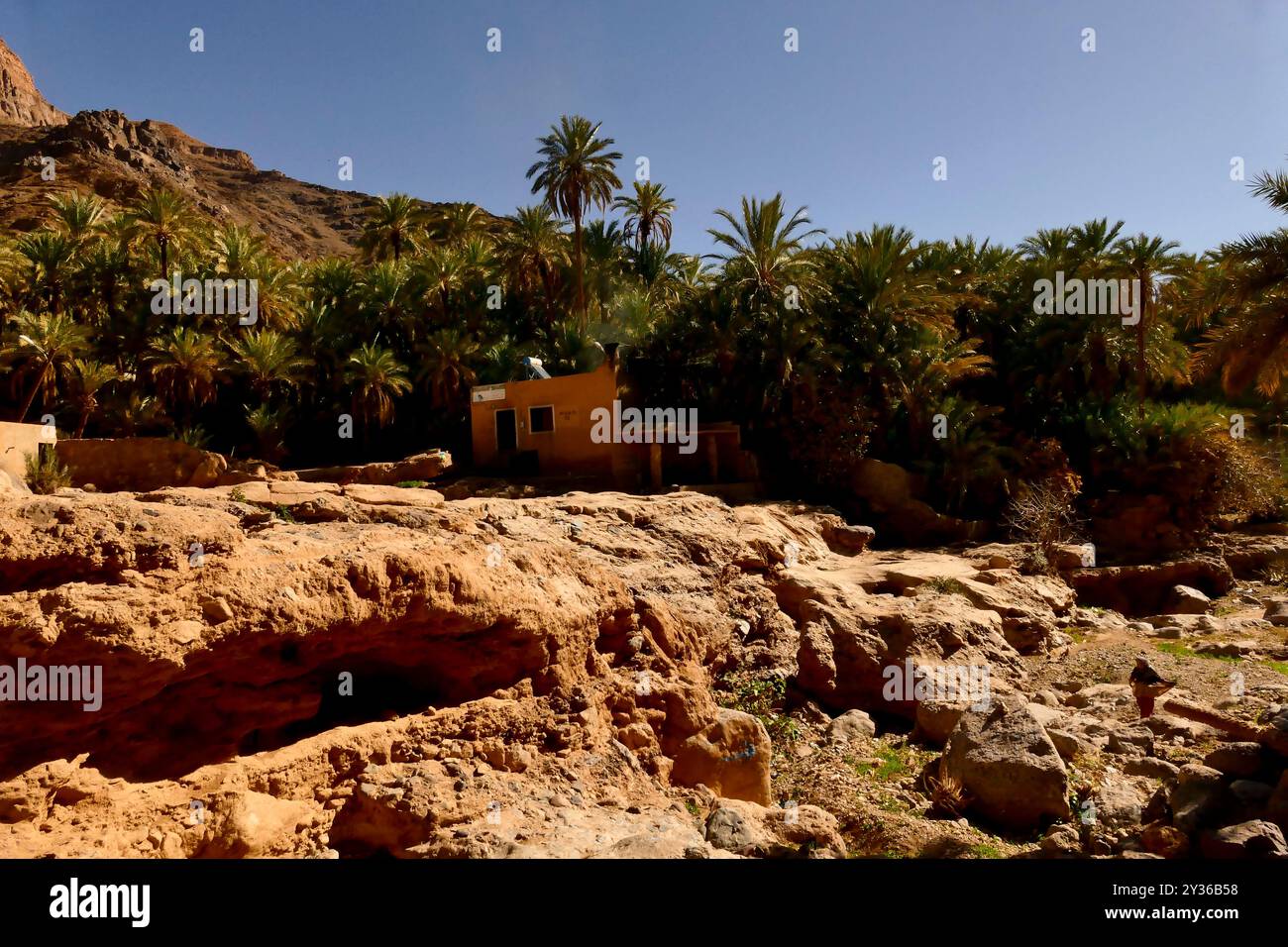 Die Oase in Aguinane ist nicht nur ein abgelegenes Stück Vegetation in ...