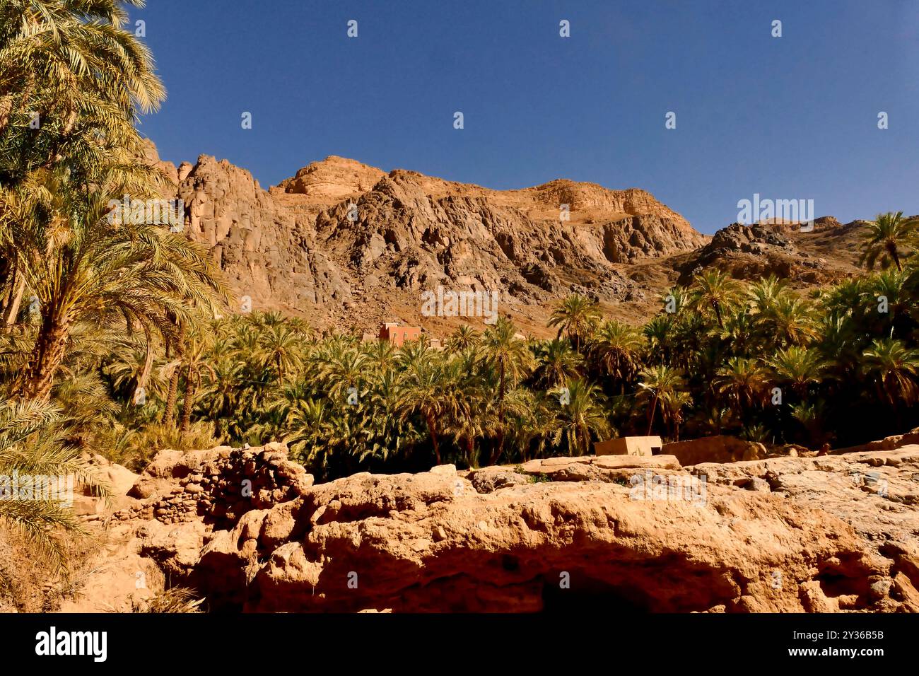 Die Oase in Aguinane ist nicht nur ein abgelegenes Stück Vegetation in ...