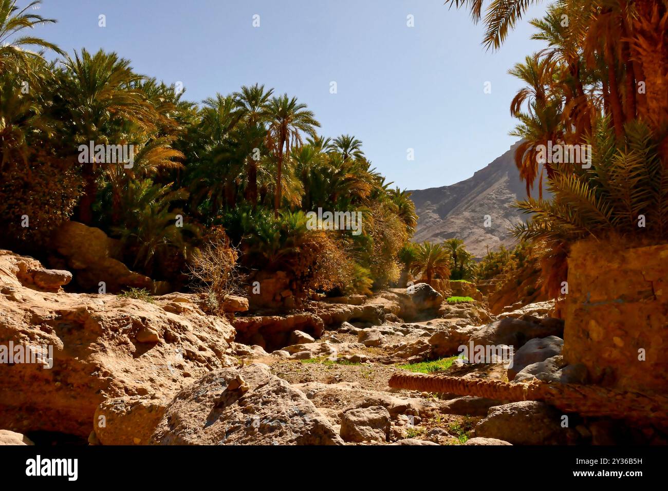 Die Oase in Aguinane ist nicht nur ein abgelegenes Stück Vegetation in ...