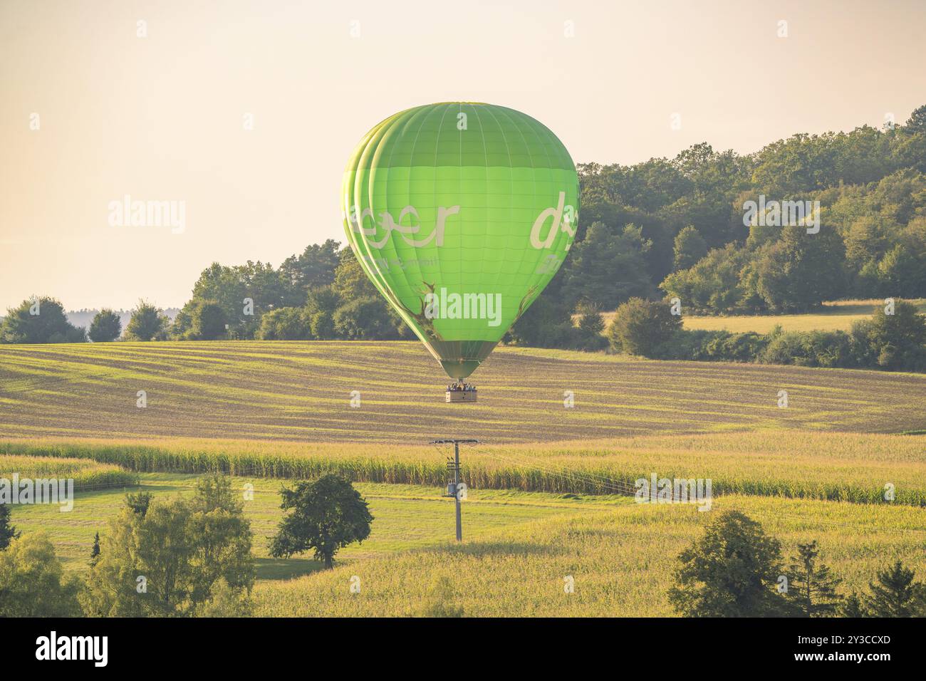 Ein grüner Heißluftballon fliegt an einem Sommertag über ein Feld und ...
