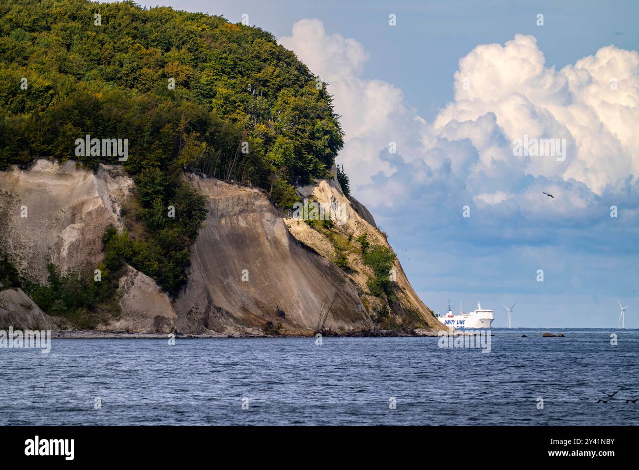 Die Kreidefelsen von Rügen, Steilküste der Stubbenkammer, im Nationalpark Jasmund, Blick auf die ...