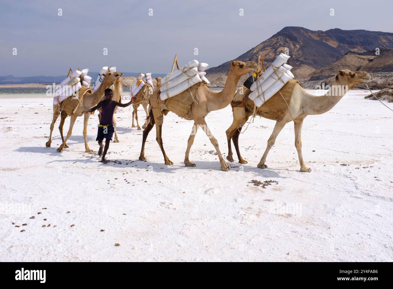 Djibouti, Lake Assal: Salzsee, der 155 m (509 ft) unter dem ...