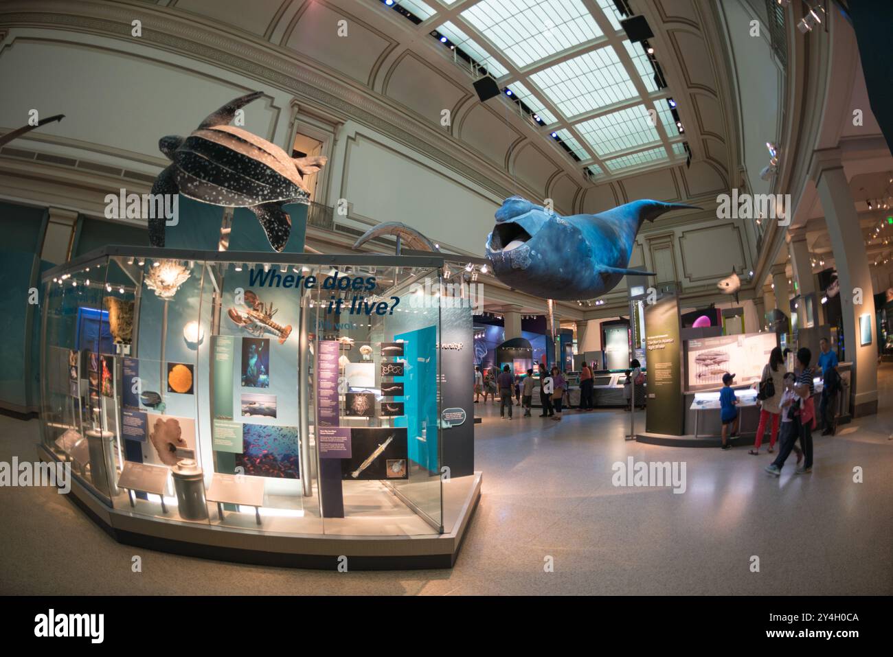 WASHINGTON DC, USA – die Sant Ocean Hall im Smithsonian National Museum ...