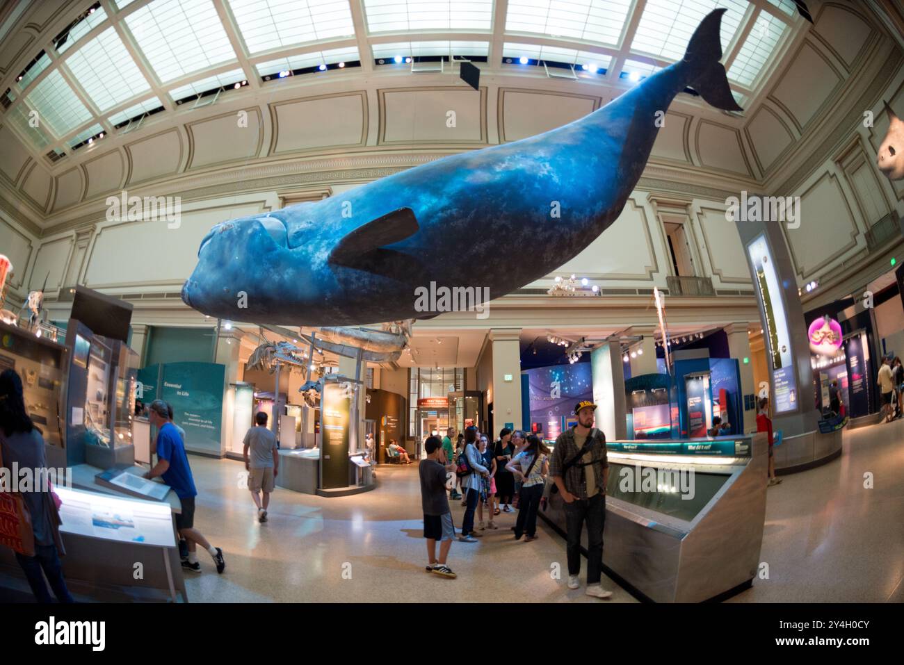 WASHINGTON DC, USA – die Sant Ocean Hall im Smithsonian National Museum ...