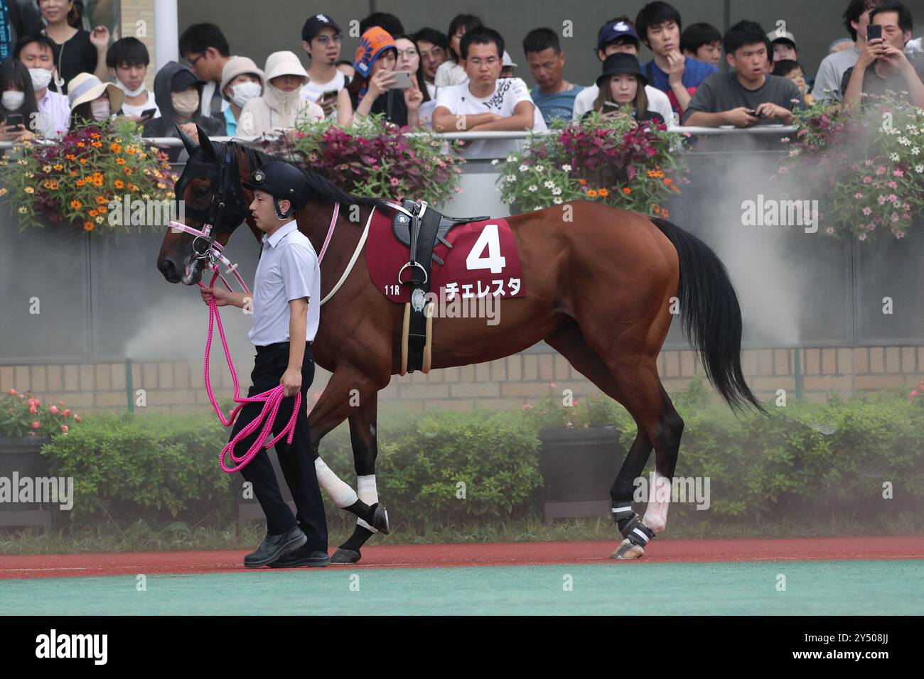 2024/09/15 CHUKYO 11R THE KANSAI TELEVISION CO. LTD SHO ROSE STAKES auf ...