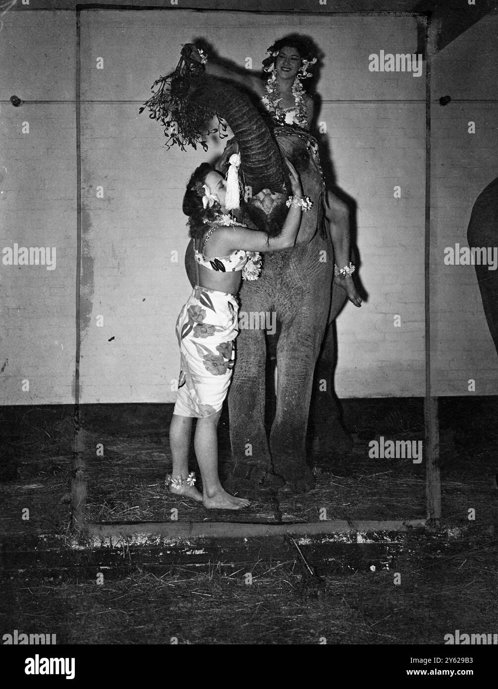 Die Weihnachtsfeier wurden heute mit der Eröffnung von Tom Arnold's ...