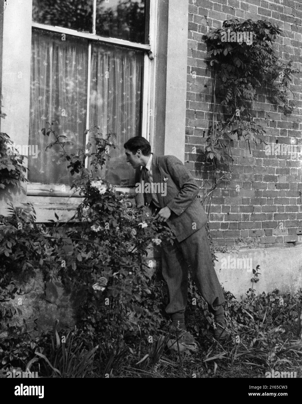 Die Leiche einer 89-jährigen Witwe , Mrs. Minnie Freeman-Lee , wurde in ...