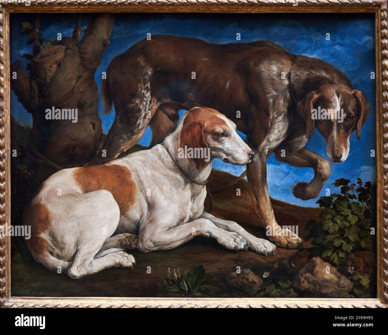 Zwei Jagdhunde an einem Baumstamm gebunden, Öl auf Leinwand, 1548 ...