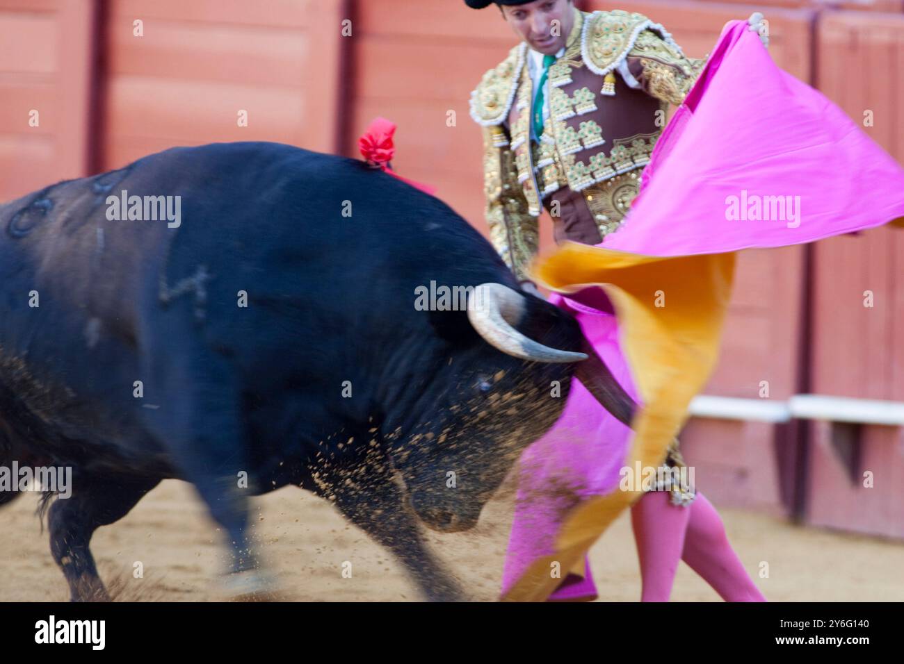 Sevilla, Spanien, 15. August 2008, begrüßt Luis de Pauloba den Stier ...