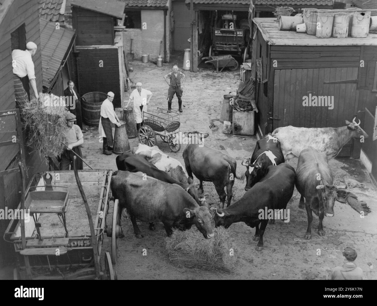 Ein allgemeiner Blick auf den Hof im Herzen der Jubilee Street Stepney ... Ein allgemeiner Blick auf den Hof im Herzen der Jubilee Street Stepney ...