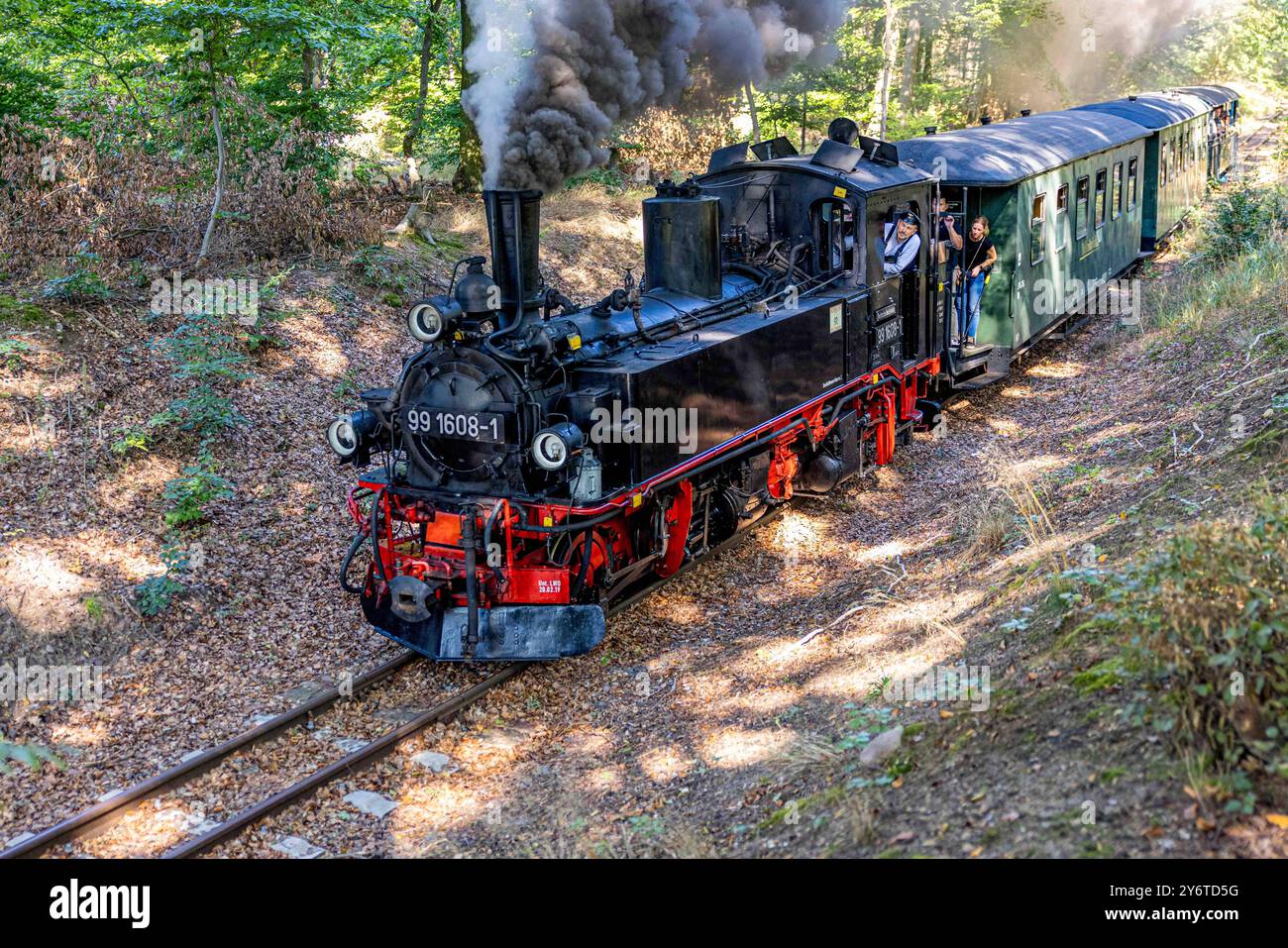 Magdeburgerforth, Deutschland 21. September 2024: Im Bild: Die Dampflok 99 1608-1 dampft mit ...