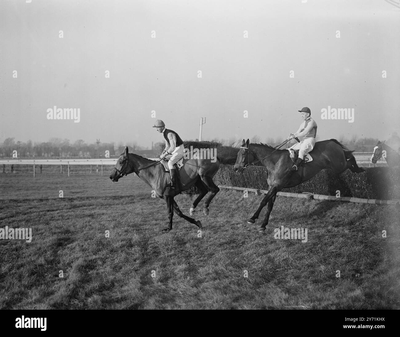 Herr . J.V. Rank's 13-jähriger PRINZ REGENT erschien wieder unter ...