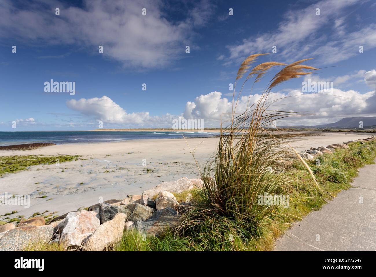 Blick über die wilde atlantikküste Irlands am Magheroarty Beach, County ...
