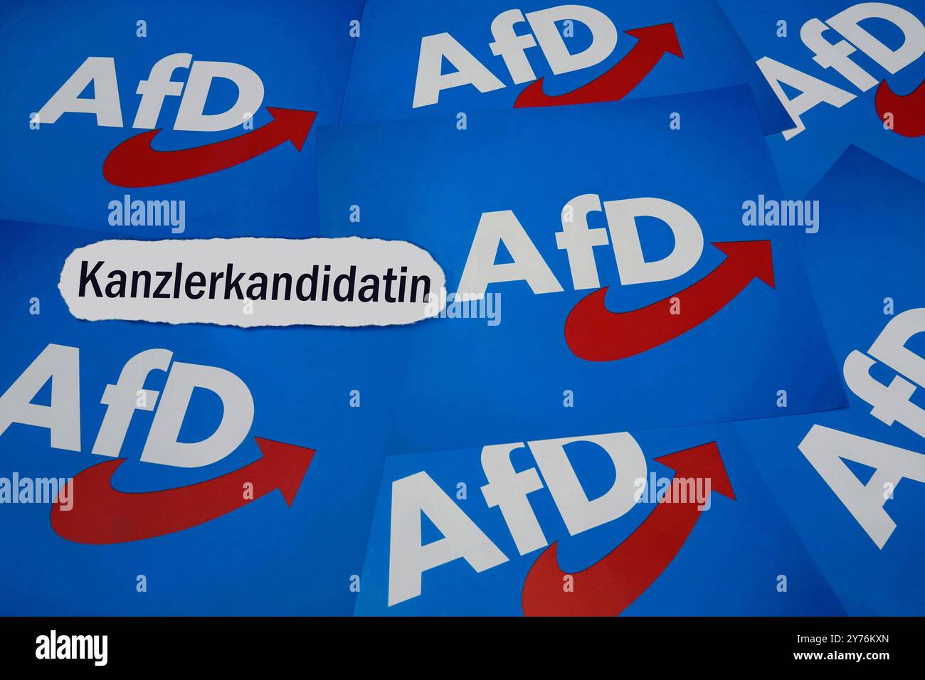 AFD-Logos und Schriftzug mit Kanzlerkandidatin AfD-Logos und Schriftzug ...