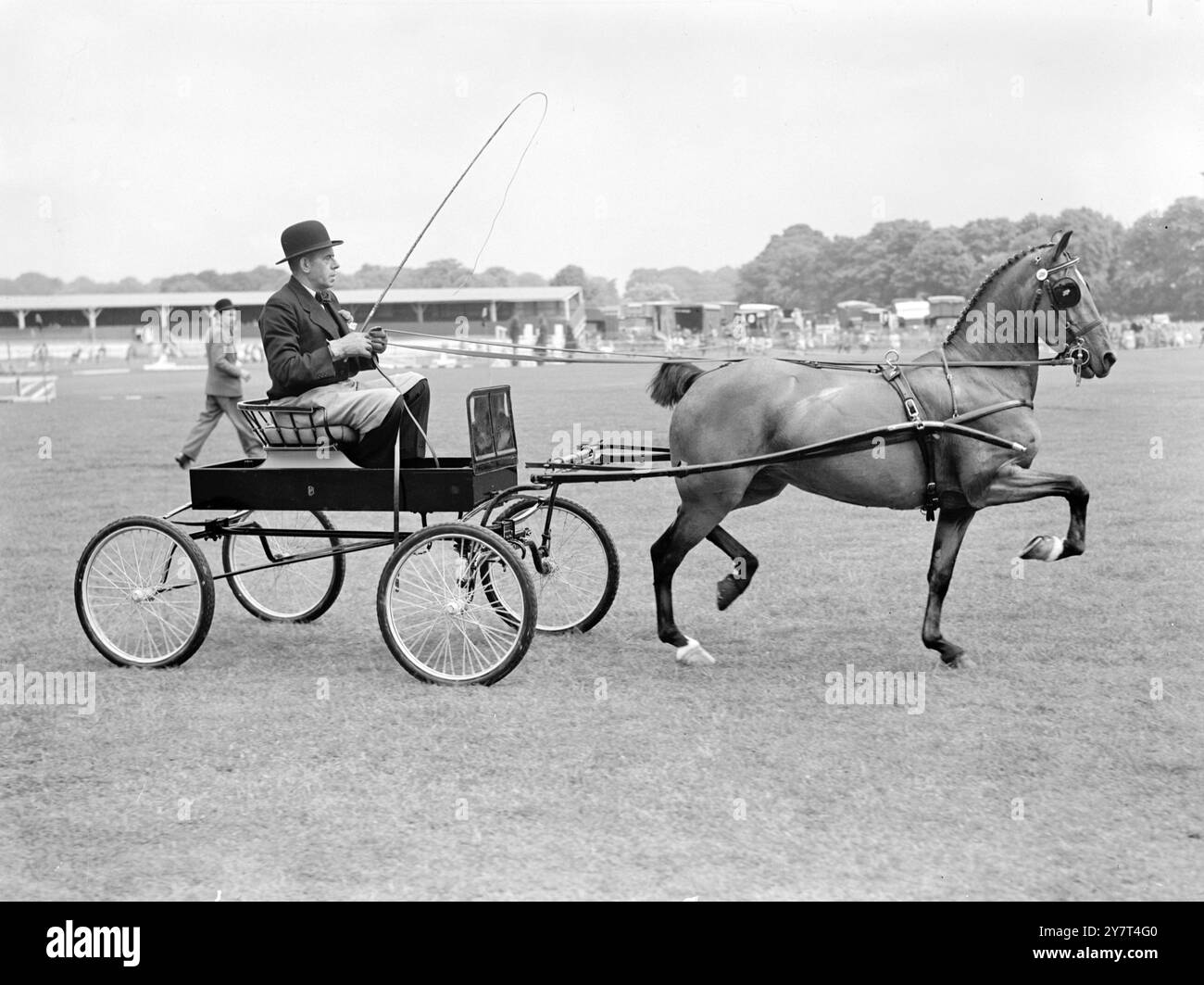 ERFOLG FÜR EINEN NEULING MR. G. LANCASTER mit Mr. H.J. ASHLEY NANONI ...