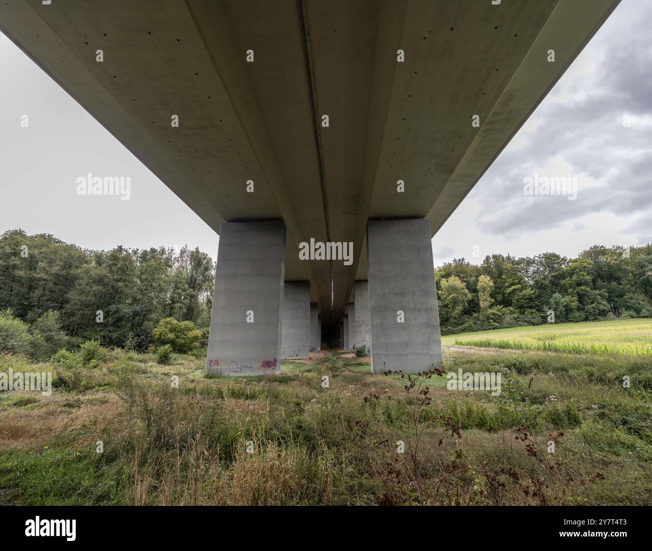 01. Oktober 2024, Hessen, Hammersbach-Marköbel: Blick unter der ...
