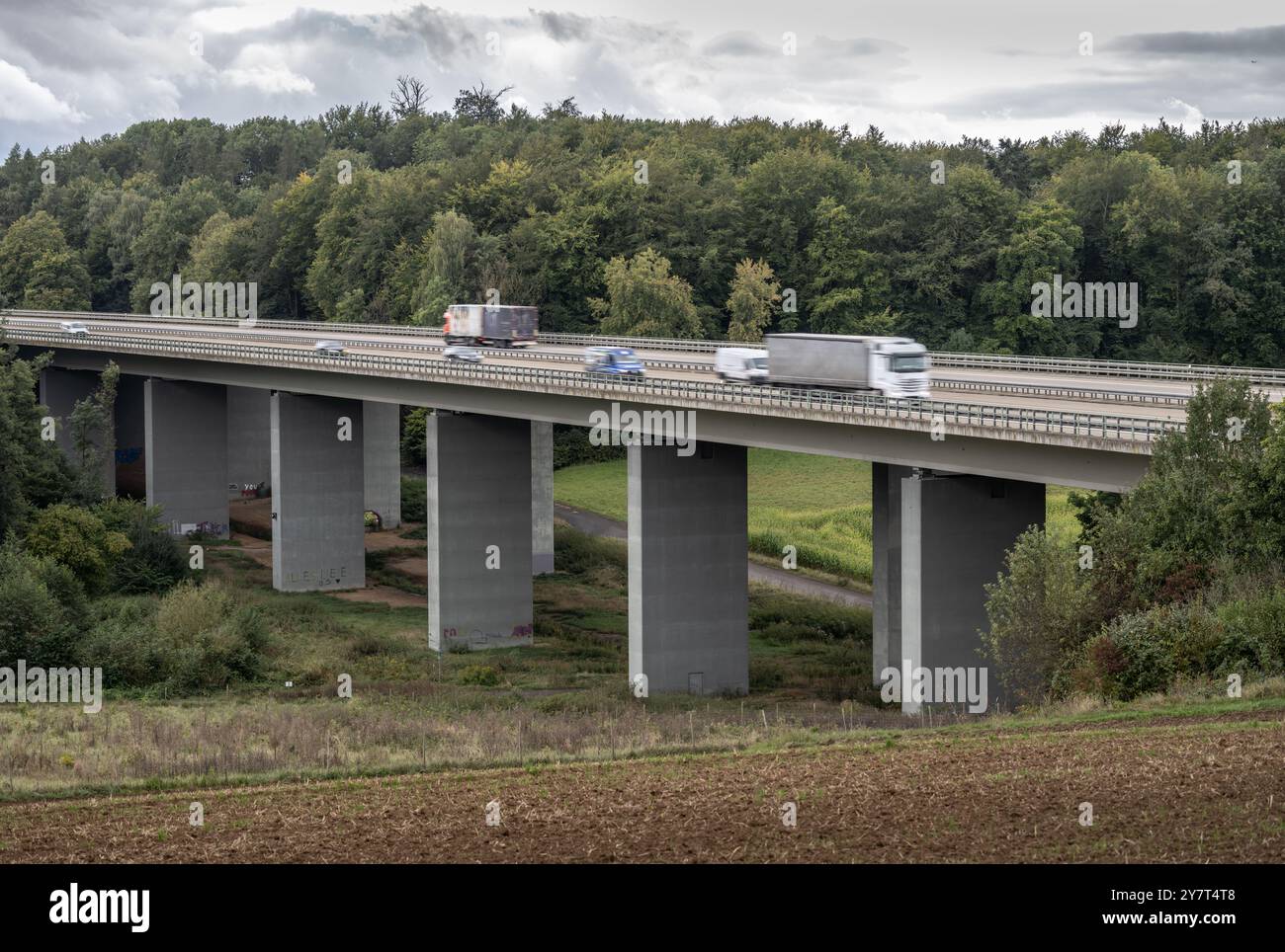 01. Oktober 2024, Hessen, Hammersbach-Marköbel: Blick unter der ...