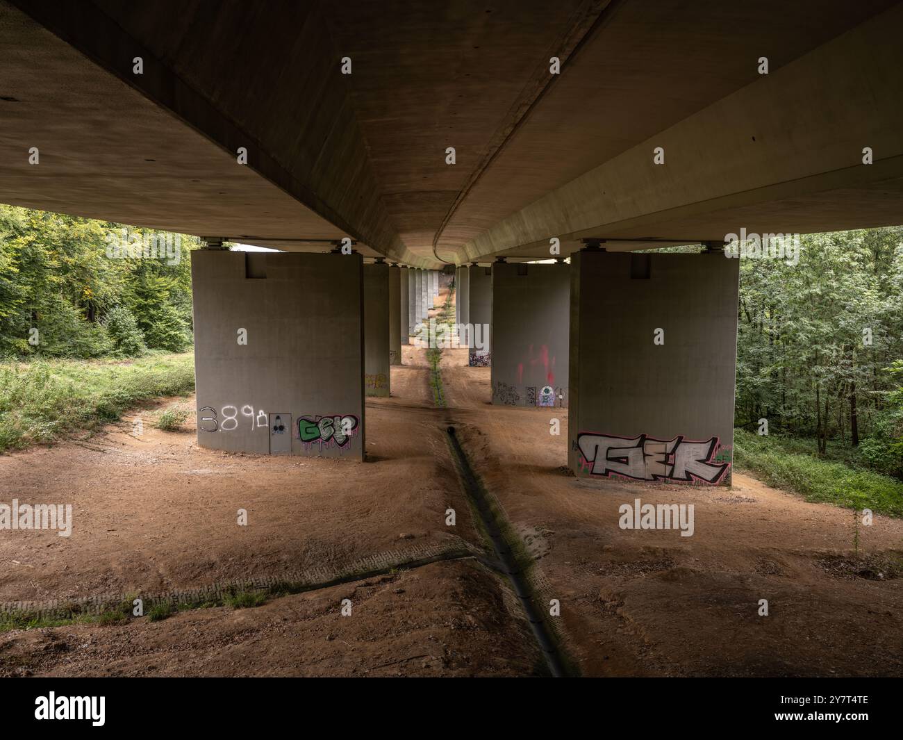 01. Oktober 2024, Hessen, Hammersbach-Marköbel: Blick unter der ...