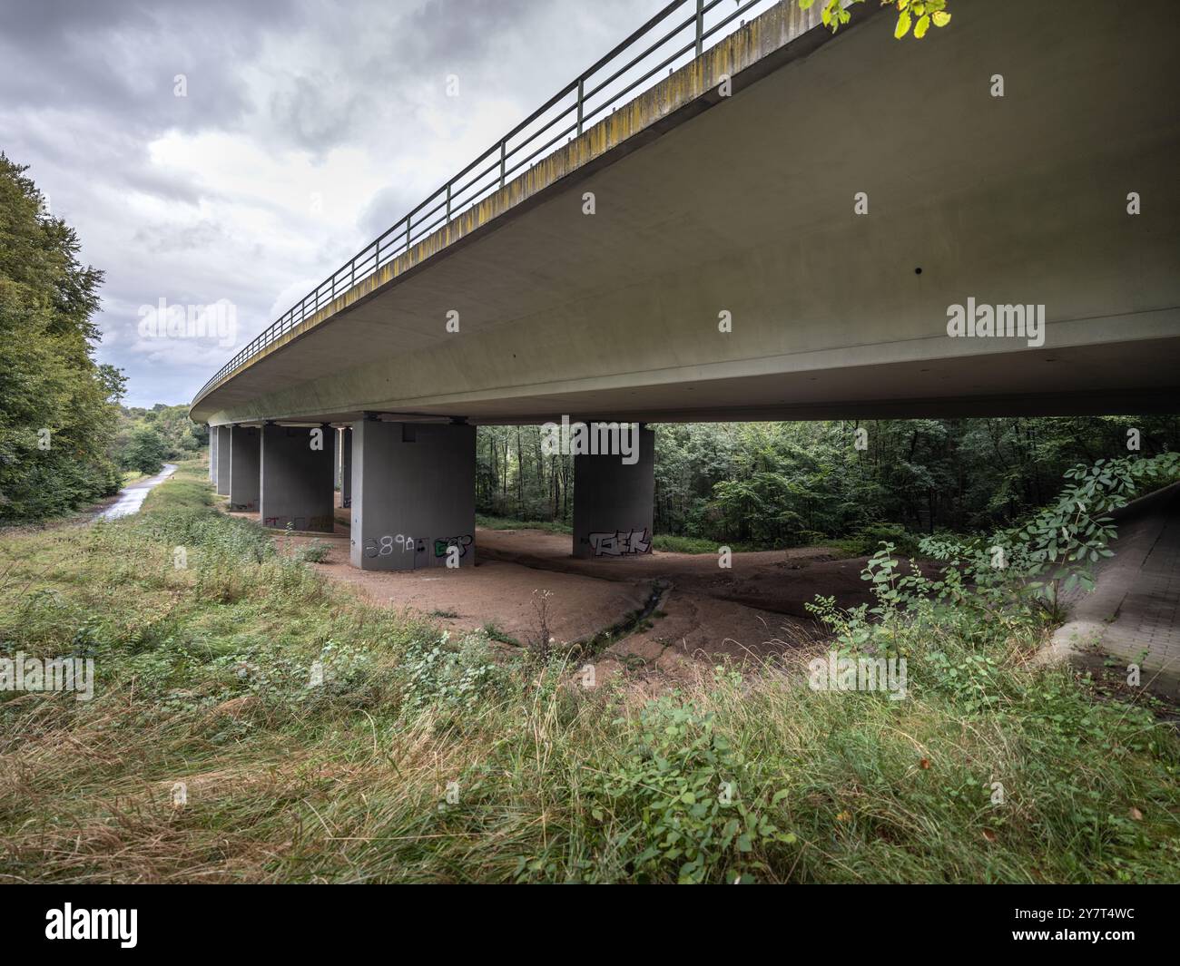 01. Oktober 2024, Hessen, Hammersbach-Marköbel: Blick unter der ...