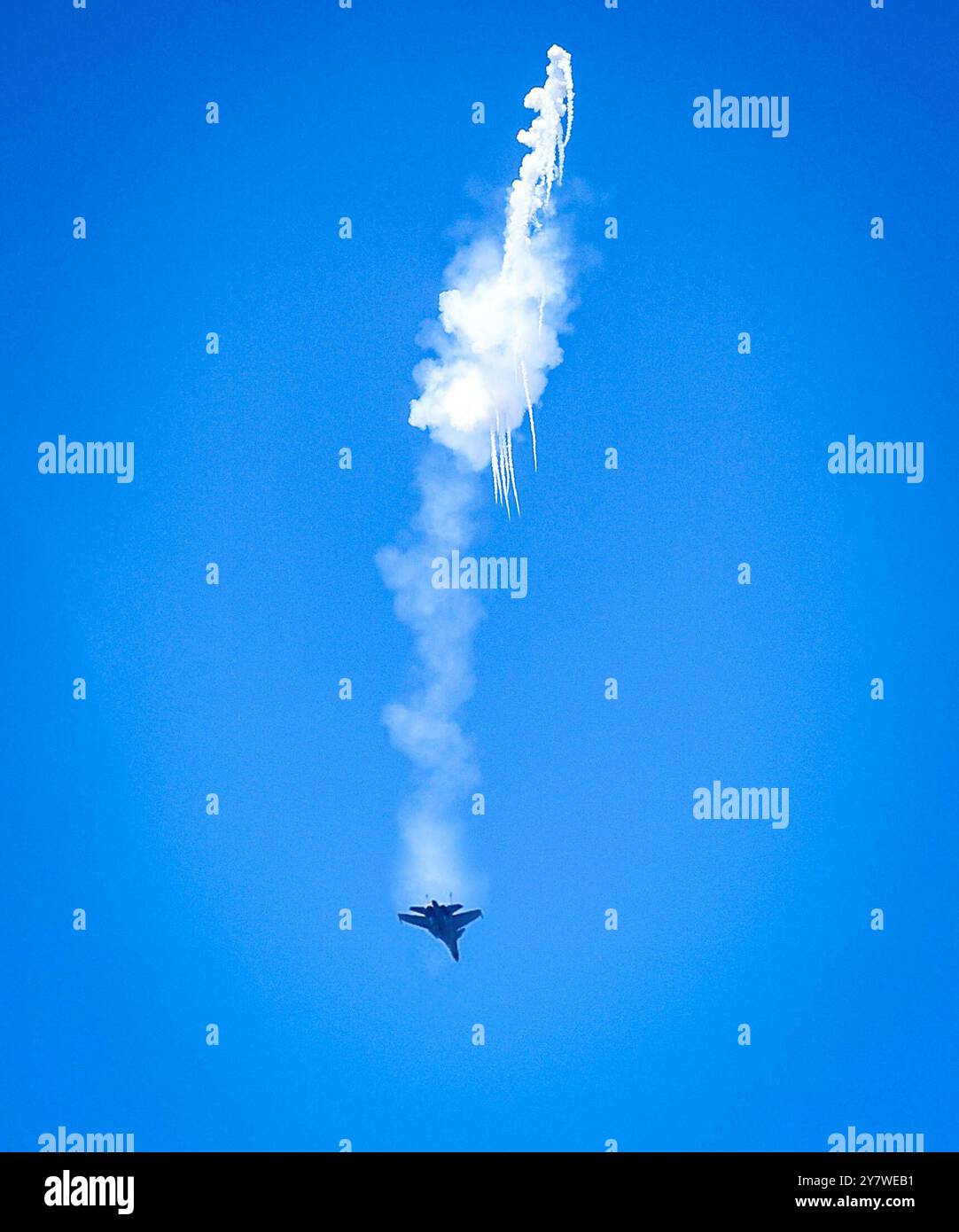 Air Show von IAF die 92. Air Adventure Show Chennai Air Show 2024 der ...