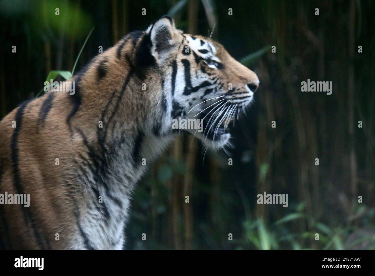 02.10.2024, xsvx, Reise Urlaub, Italien Gardasee emwir, v.l. Fauna Park ...