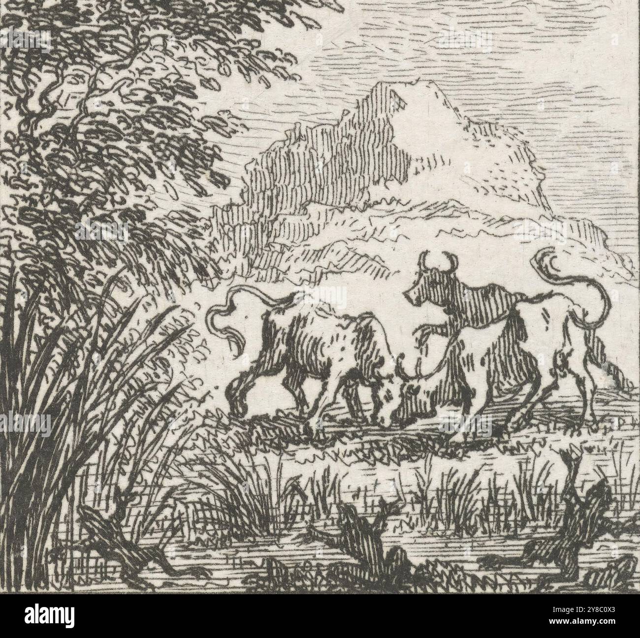 Fable of the Bulls Fighting, Illustrationen für Fable Retellings von ...