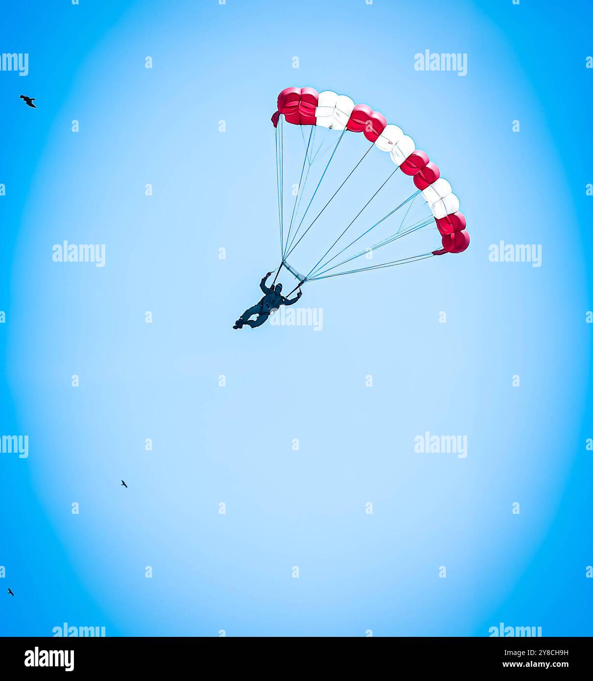 Air Show von IAF die 92. Air Adventure Show Chennai Air Show 2024 der ...