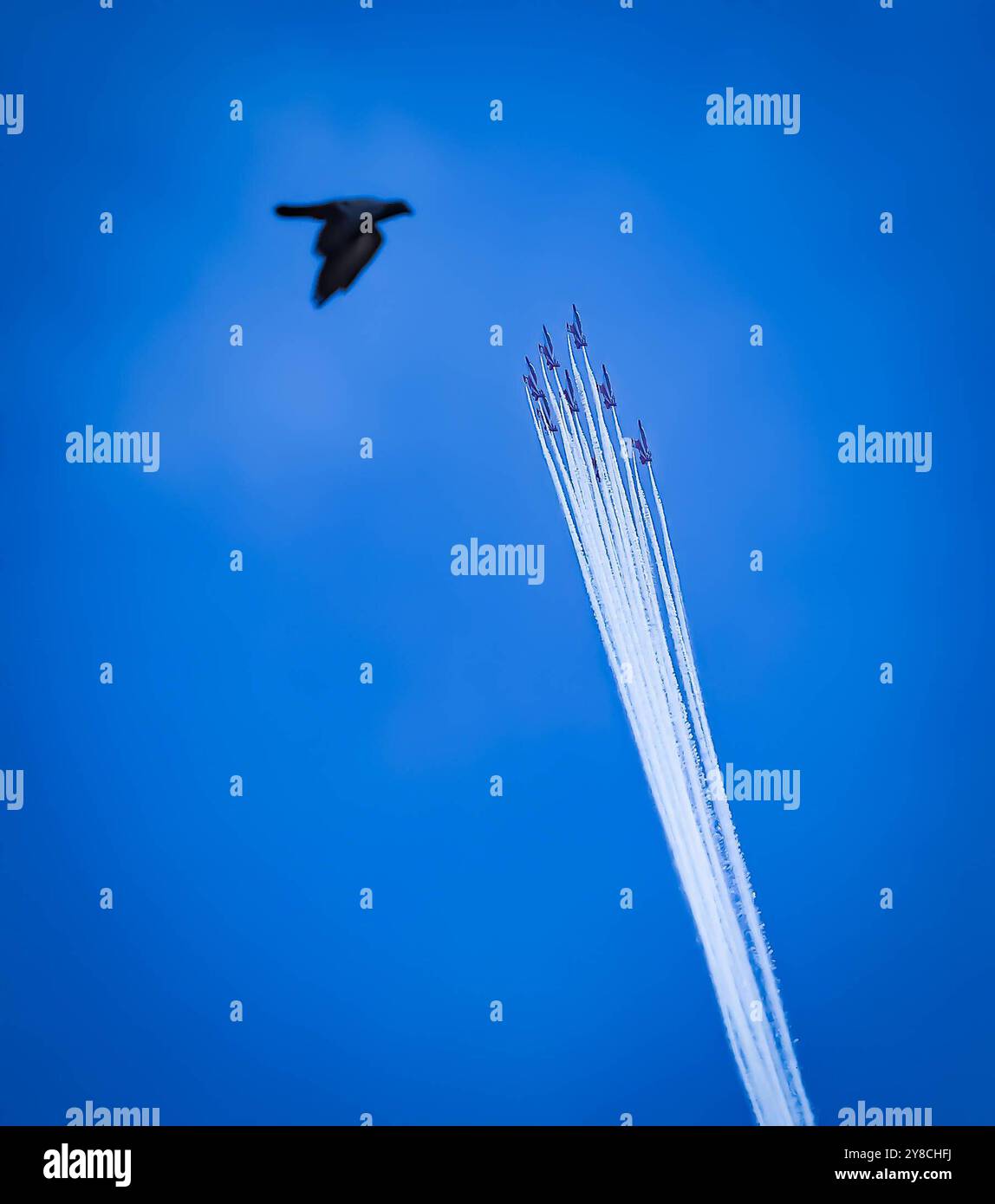 Air Show von IAF die 92. Air Adventure Show Chennai Air Show 2024 der ...