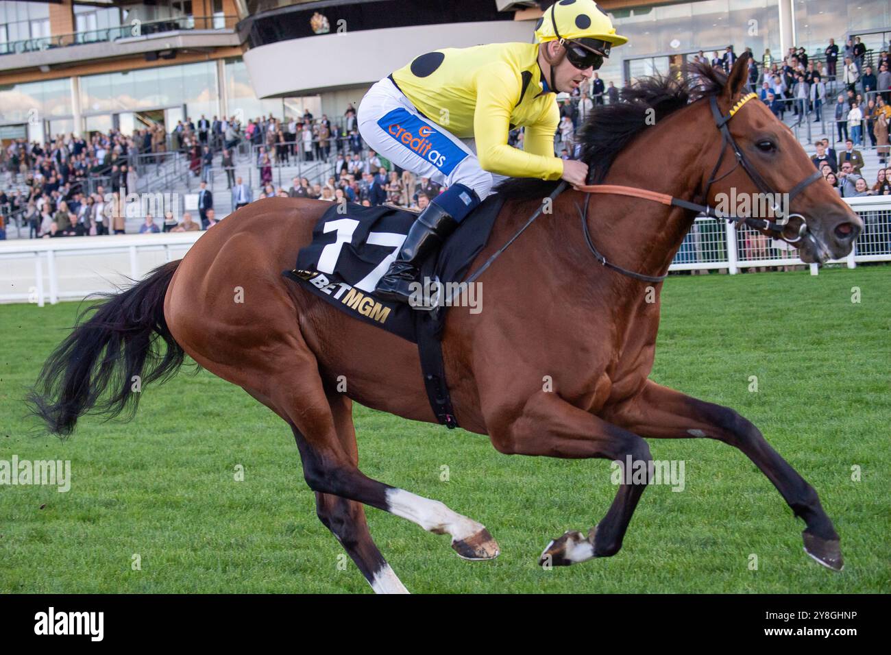 Ascot, Berkshire, Großbritannien. Oktober 2024. VOLTERRA mit Jockey ...