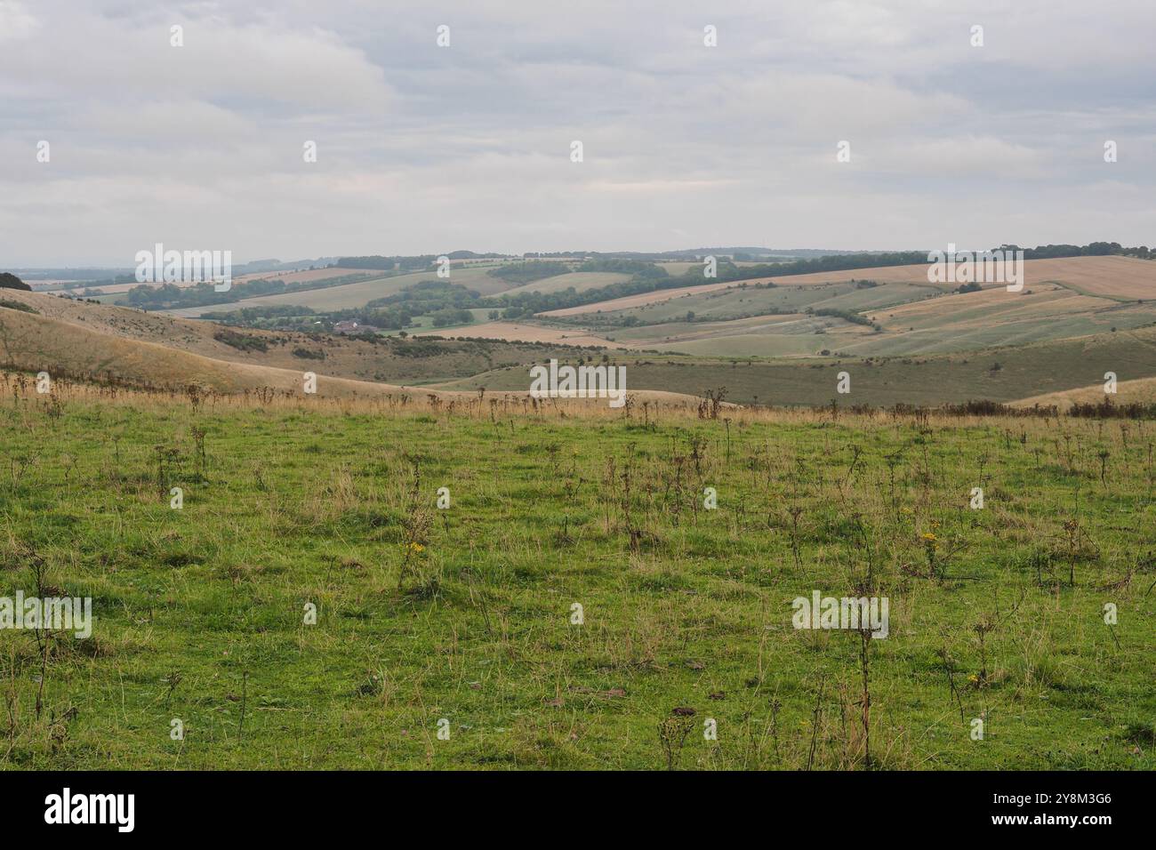 Blick vom Ridgeway in Devils Punchbowl und Letcombe Bassett ...
