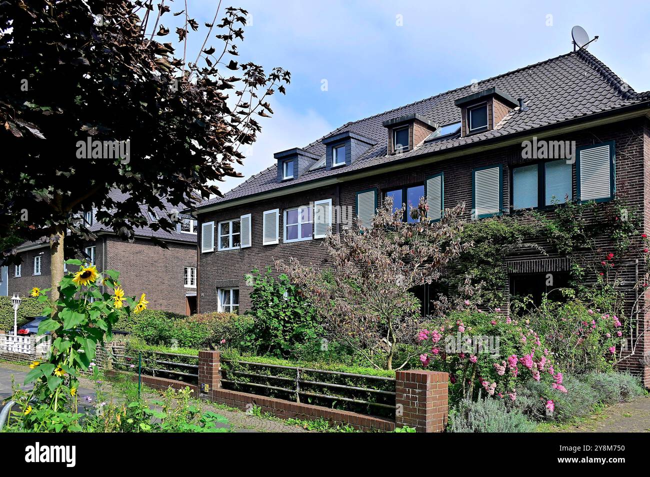 15.09.2024, Deutschland, Nordrhein-Westfalen, Ruhrgebiet, Dortmund. Siedlung Gartenstadt. Die ...