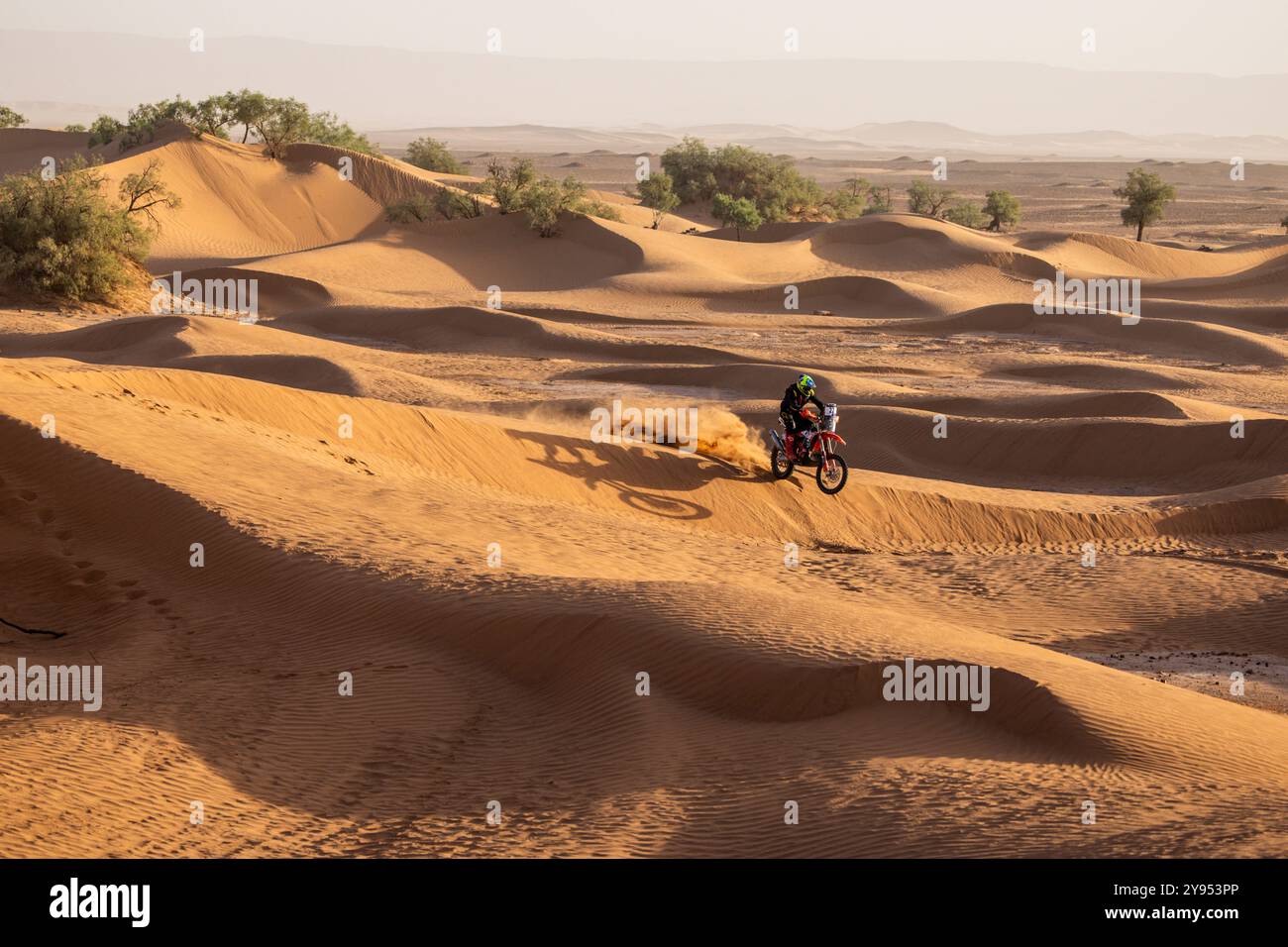Zagora, Maroc. Oktober 2024. 22 DOCHERTY Michael (ZAG), Bas World KTM Racing Team, KTM 450 Rally ...