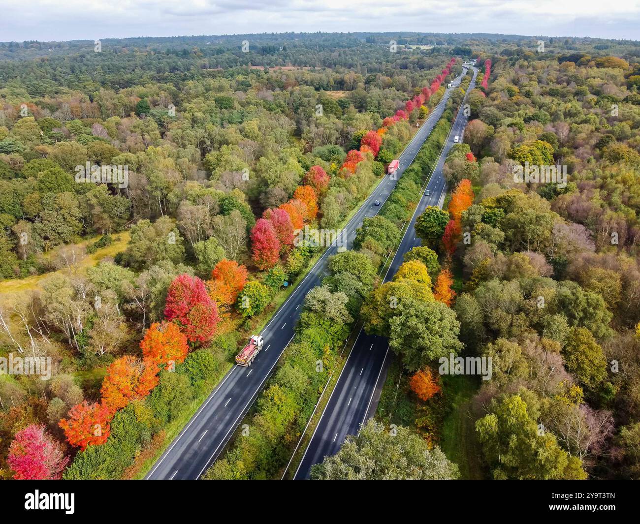 Bramshott Common, Liphook, Hampshire, Großbritannien. Oktober 2024 ...