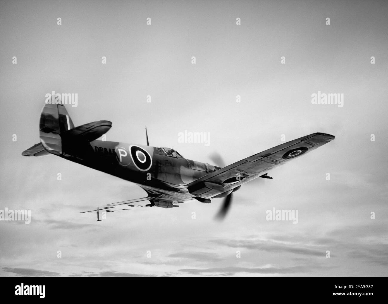 Die Supermarine Spitfire Mark XII war ein dedizierter ...