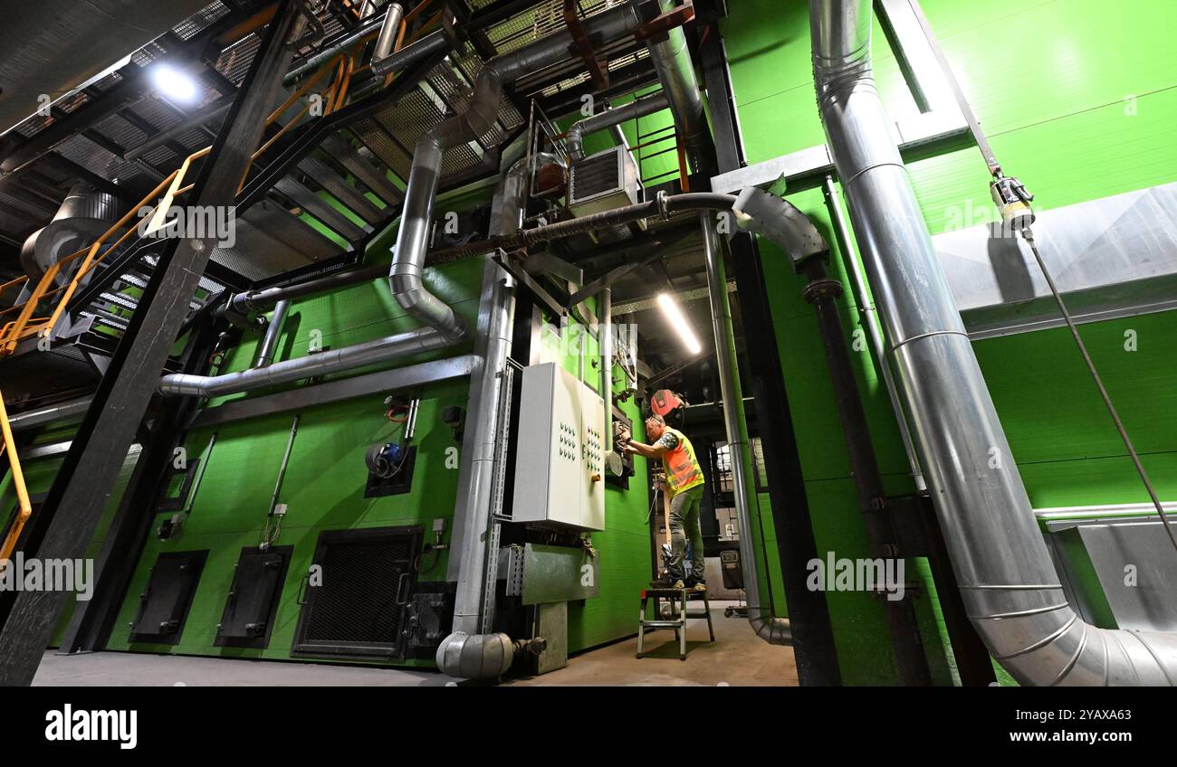 THEMENBILD - Projekt "die Zukunft erfassen": Illustration der Biomasse ...