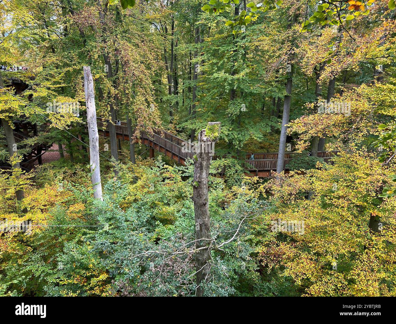 Besucher auf dem Baumwipfelweg im Wald bei Bad Camberg - Bad Camberg 19 ...