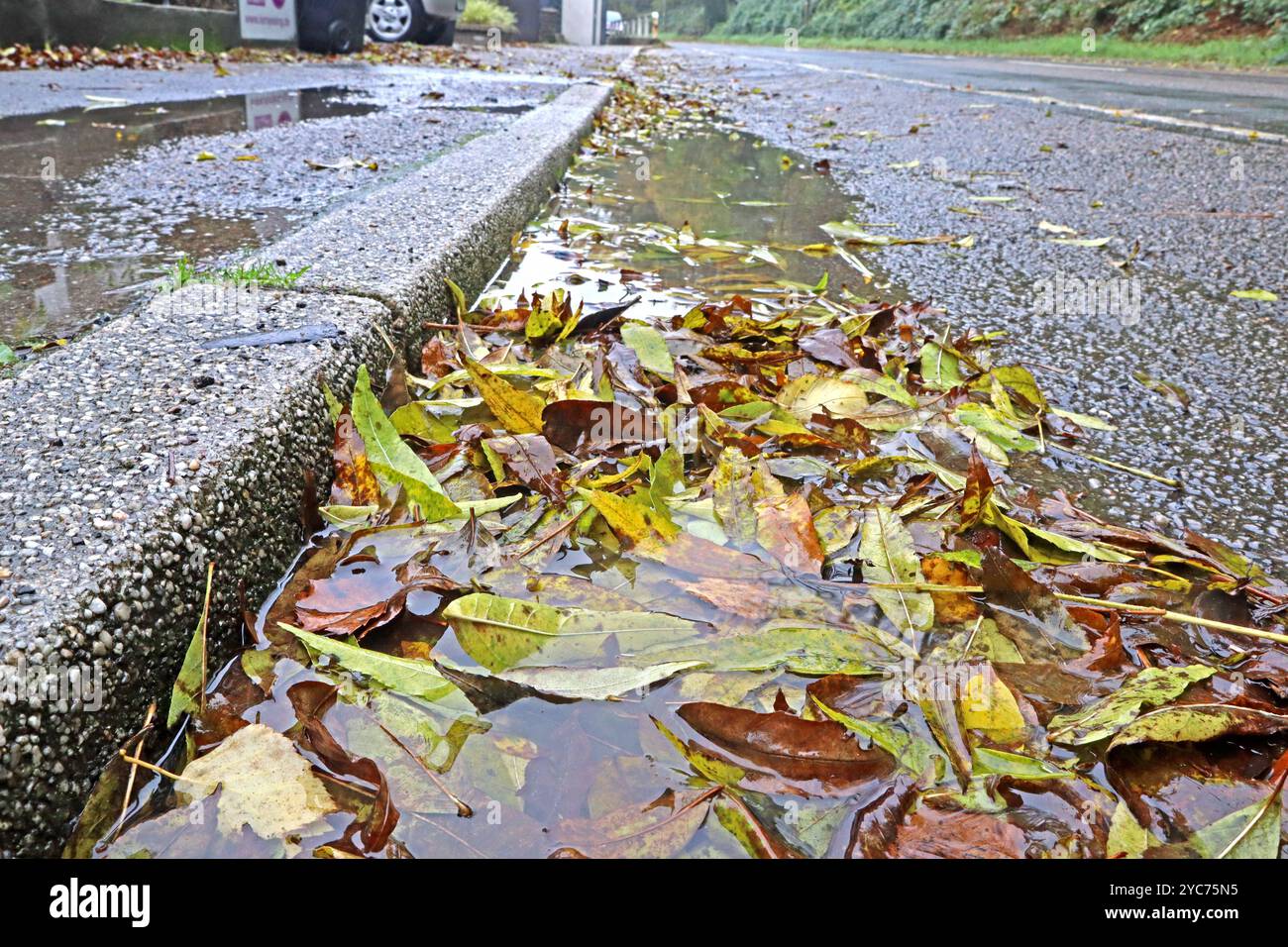 Wasserabfluss und Laub im Herbst das keine Herbstlaub einer ...