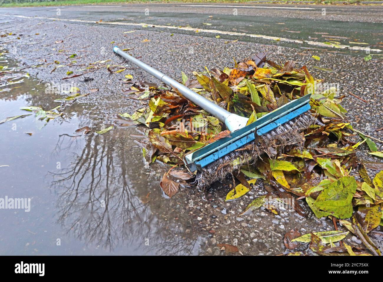 Wasserabfluss und Laub im Herbst das keine Herbstlaub einer ...